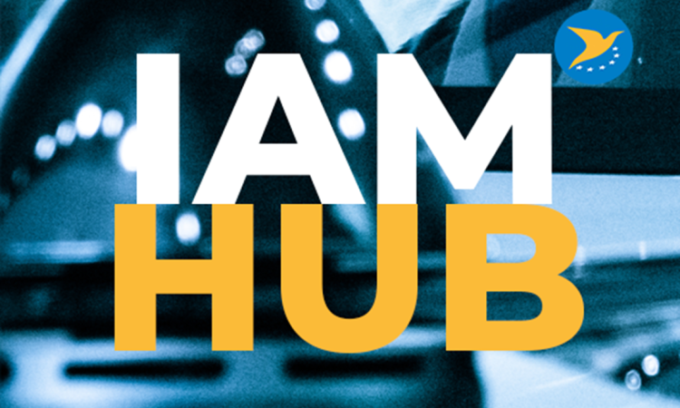 EASA launches UAM/AAM and drone information hub for cities and industry ...